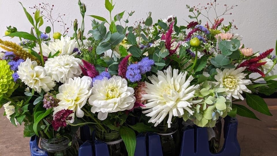 4-week fall flower subscription | Bee Haven Farm